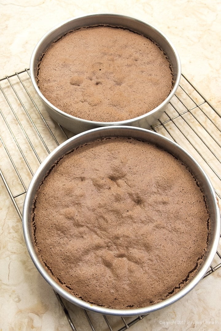 Raspberry Rhapsody Cake - Pastries Like a Pro