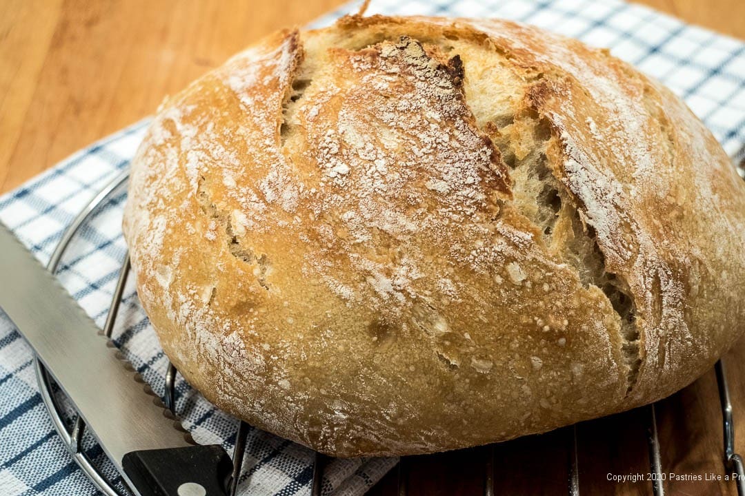 The Story of No-Knead Bread and Me - Pastries Like a Pro