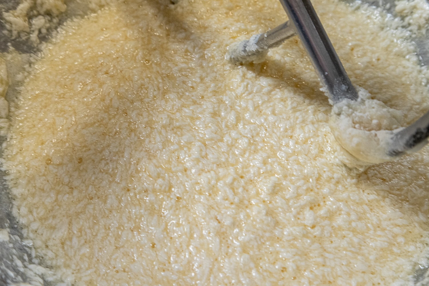 Gluten Free Fruit and Nut Muffins - Pastries Like a Pro